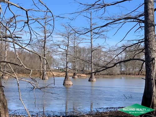 Louisiana Farms for Sale : Page 7 of 15 - FARMFLIP