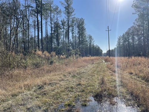 South Carolina Plantation Farms for Sale : FARMFLIP