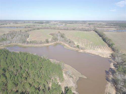 Georgia Farms for Sale : Page 9 of 81 : FARMFLIP