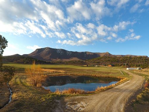 High Fence Farms for Sale : FARMFLIP