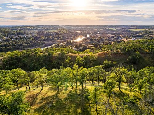 Cattle Farms for Sale : FARMFLIP