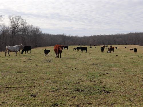 Kentucky Farms for Sale - FARMFLIP