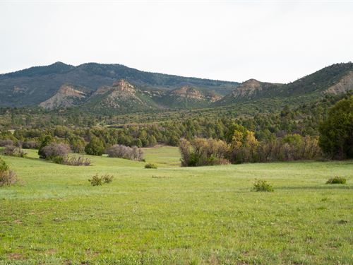 New Mexico Farms for Sale - farmflip