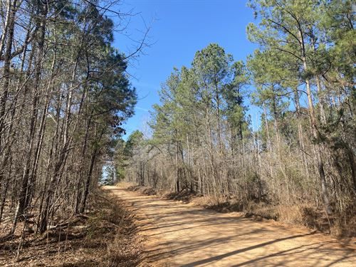 Georgia Plantation Farms for Sale : FARMFLIP