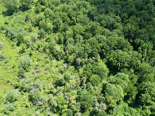 New York Farms for Sale : FARMFLIP