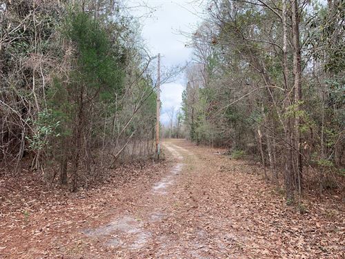 Jason Williams : Plantation Properties & Land Investments, LLC Farms ...