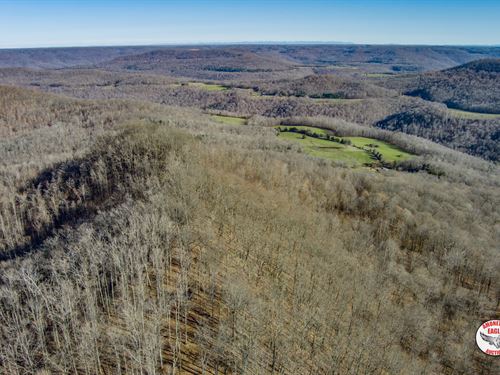 Tennessee Cattle Farms for Sale : FARMFLIP