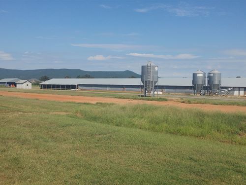 Arkansas Chicken Farms for Sale - farmflip