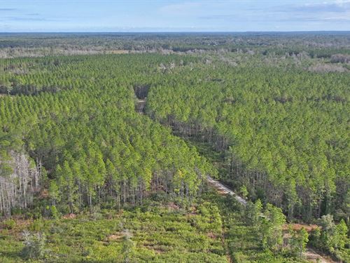 Marion County Florida Farms for Sale : FARMFLIP