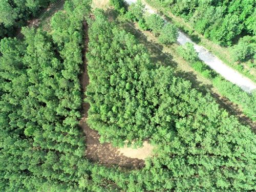 Georgia Farms for Sale - FARMFLIP