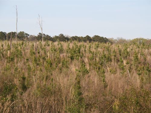 Georgia Farms for Sale : Page 3 of 65 : FARMFLIP