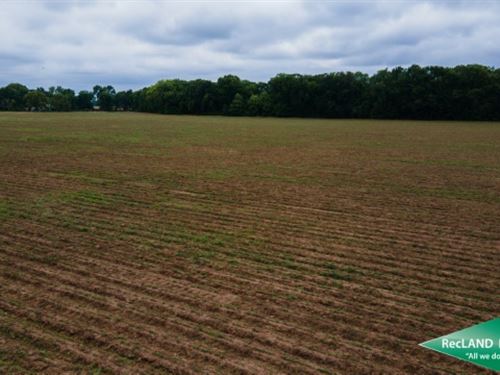 Louisiana Farms for Sale : Page 6 of 15 - FARMFLIP