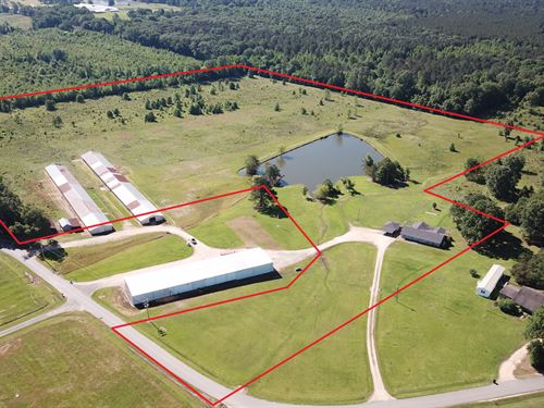 Arkansas Chicken Farms for Sale - FARMFLIP
