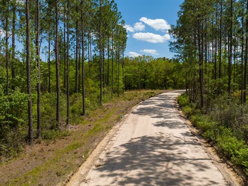 Georgia Farms for Sale : Page 31 of 83 - farmflip