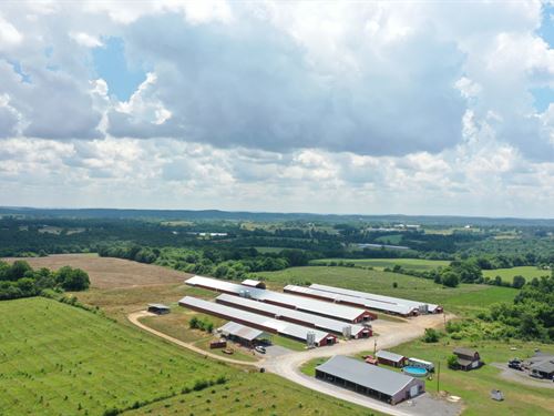 Alabama Poultry Farms for Sale - farmflip