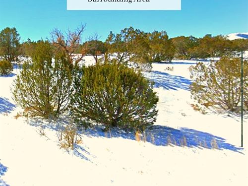 New Mexico Farms for Sale - farmflip