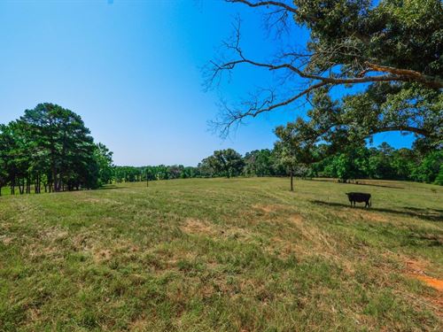 Tyler Texas Farms for Sale - farmflip