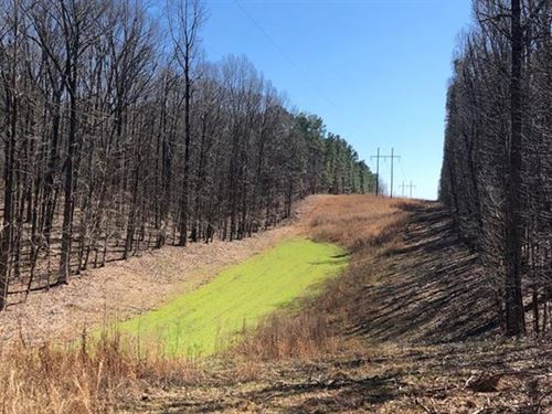 Georgia Farms for Sale - farmflip