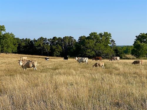 Missouri Farms for Sale - farmflip