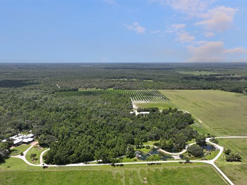 Florida Farms for Sale : FARMFLIP