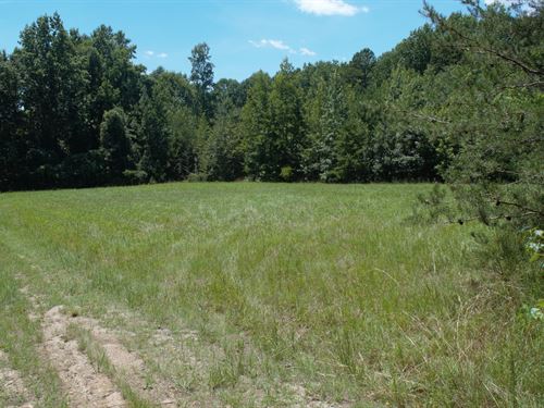 South Carolina Farms for Sale : Page 2 of 21 - farmflip