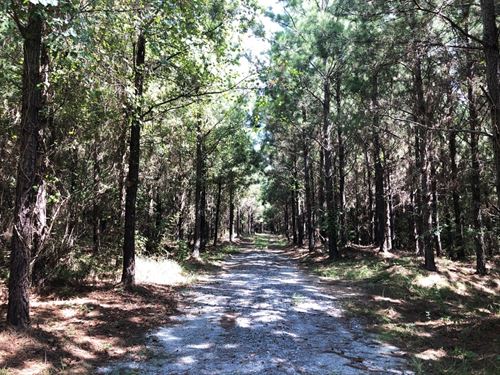 Tree Farm Farms for Sale - FARMFLIP