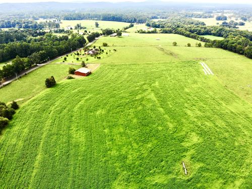 Georgia Cattle Farms for Sale : FARMFLIP