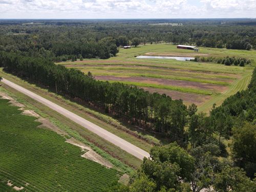 Alabama Farms for Sale : Buy Farms for Sale, Find Agricultural & Farmland