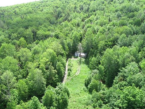 Vermont Maple Tree Farms for Sale : FARMFLIP