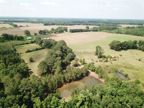 Alabama Cattle Farms for Sale - FARMFLIP