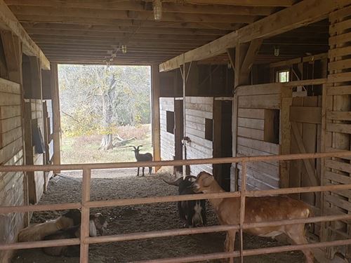 Maple Tree Farms for Sale - FARMFLIP