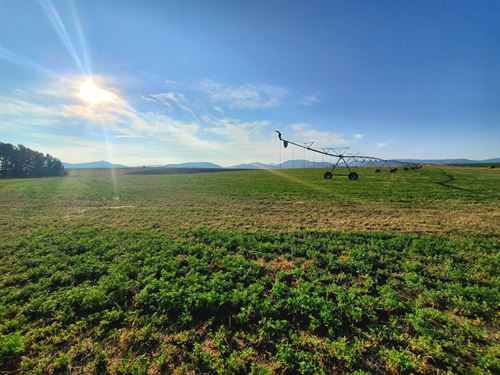 Montana Farms for Sale : Buy Farms for Sale, Find Agricultural & Farmland