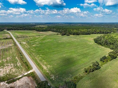 Georgia Cattle Farms for Sale - FARMFLIP