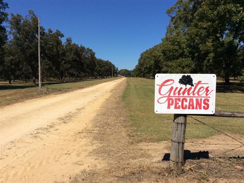 Tree Farm Farms for Sale - FARMFLIP