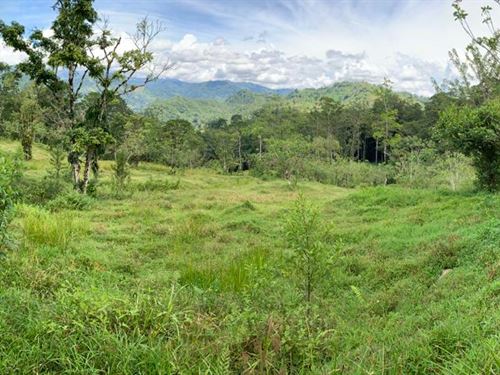 Costa Rica Farms for Sale