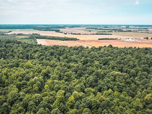 Kentucky Farms for Sale : Page 4 of 5 : FARMFLIP