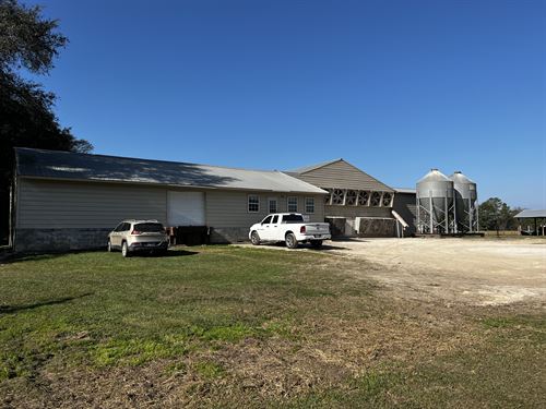 Jesup Georgia Farms for Sale : FARMFLIP