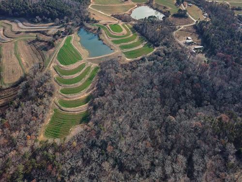 Alabama Farms for Sale : FARMFLIP