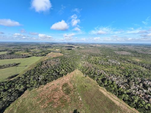 Polk County Florida Farms for Sale : FARMFLIP