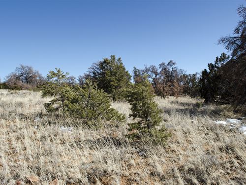 New Mexico Farms for Sale : FARMFLIP