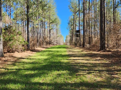 Crawford County Georgia Farms for Sale : FARMFLIP