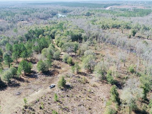 Georgia Cattle Farms for Sale : FARMFLIP