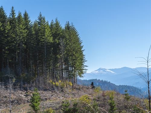 Oregon Farms for Sale : Page 5 of 7 : FARMFLIP