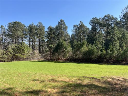 Georgia Cattle Farms for Sale : FARMFLIP