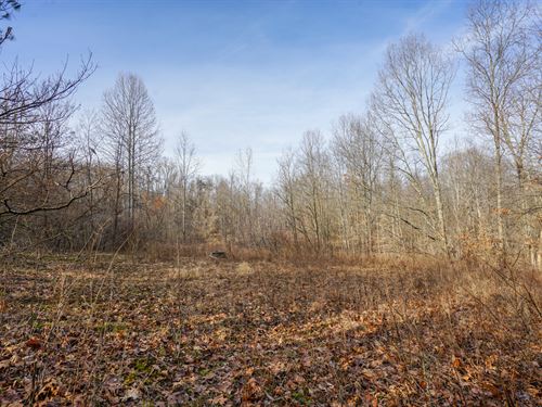 Ohio Farms for Sale : Page 8 of 11 : FARMFLIP