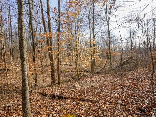 Ohio Farms for Sale : Page 8 of 11 : FARMFLIP