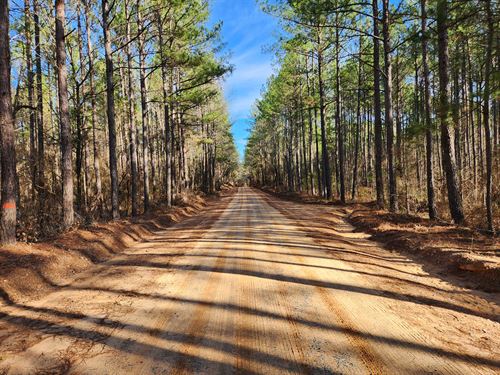 Georgia Farms for Sale : Page 63 of 64 : FARMFLIP