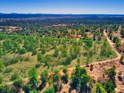 New Mexico Farms for Sale : FARMFLIP