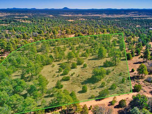 New Mexico Farms for Sale : FARMFLIP
