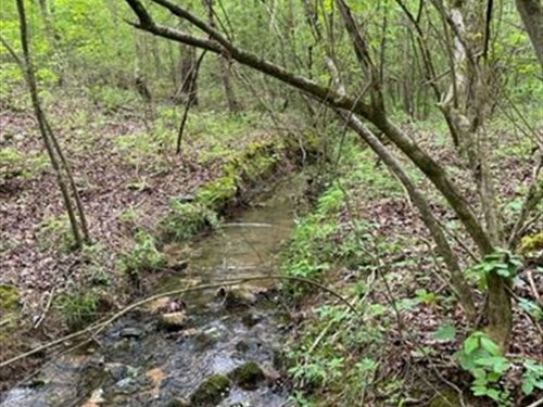 Georgia Farms for Sale : Page 16 of 70 : FARMFLIP